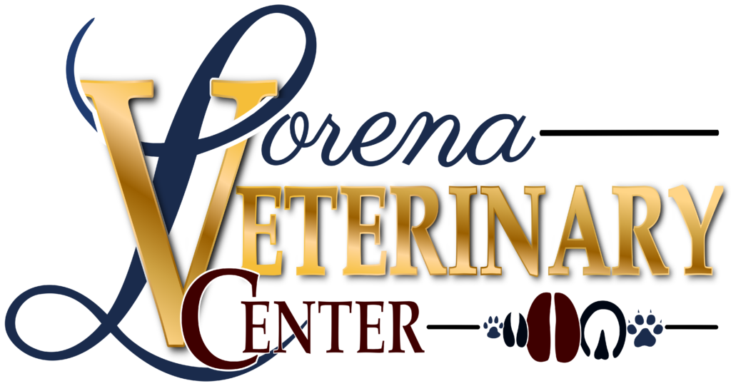 Home - Lorena Veterinary Center